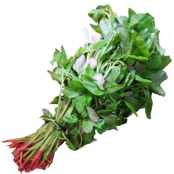 BLEDO – La Huerta Express