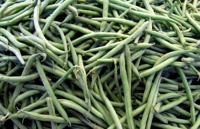 EJOTE – La Huerta Express