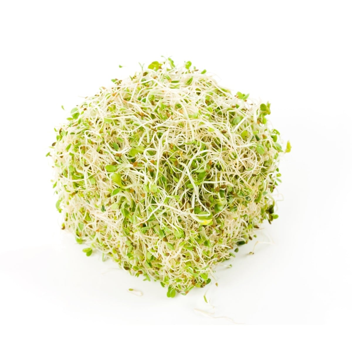 ALFALFA – La Huerta Express